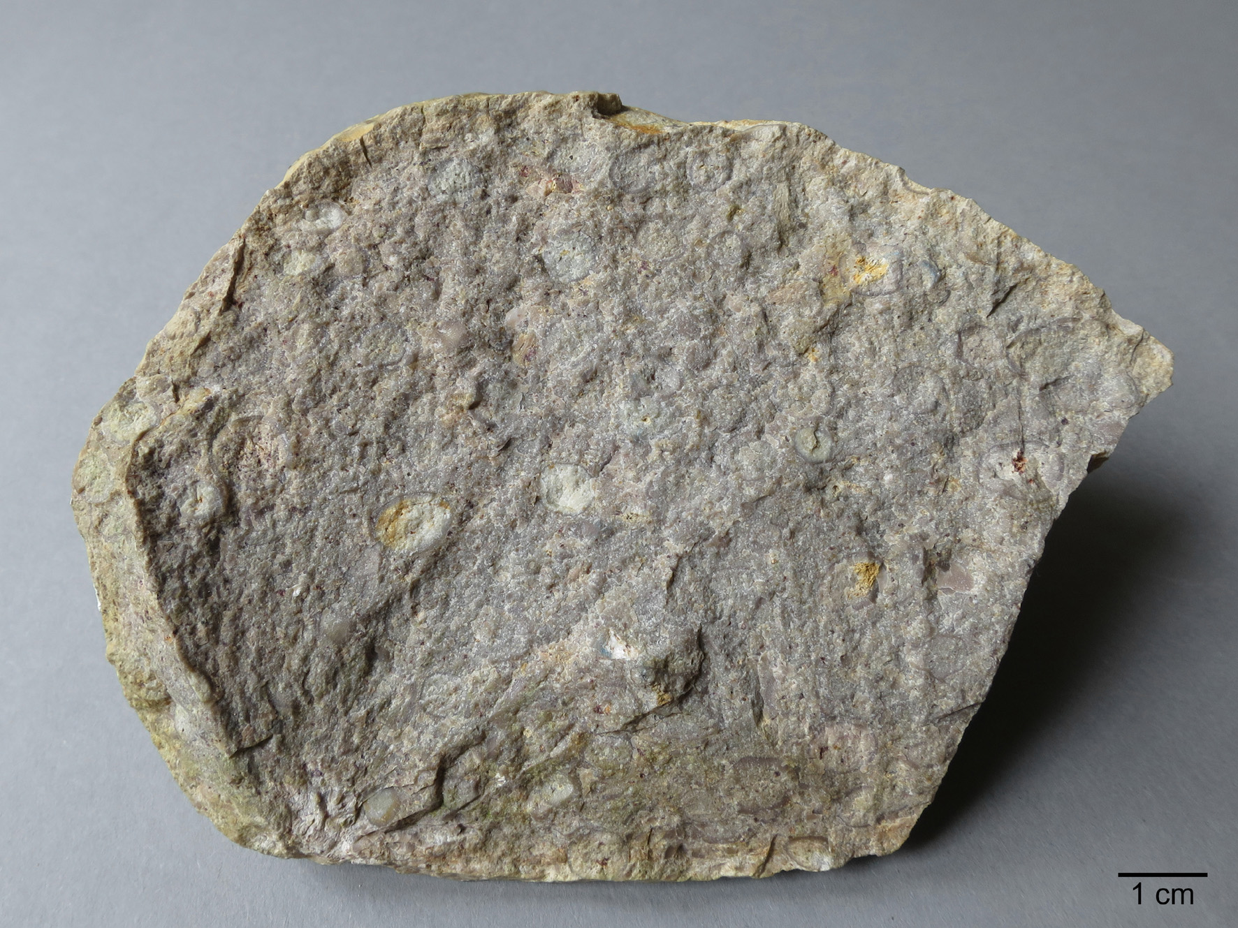 Großgeschiebe aus der Niederlausitz – Porphyre und Vulkanite ...