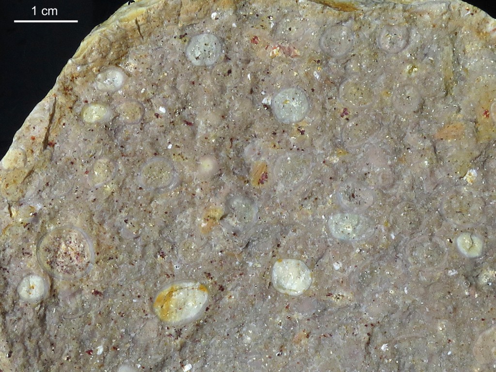 Großgeschiebe aus der Niederlausitz – Porphyre und Vulkanite ...